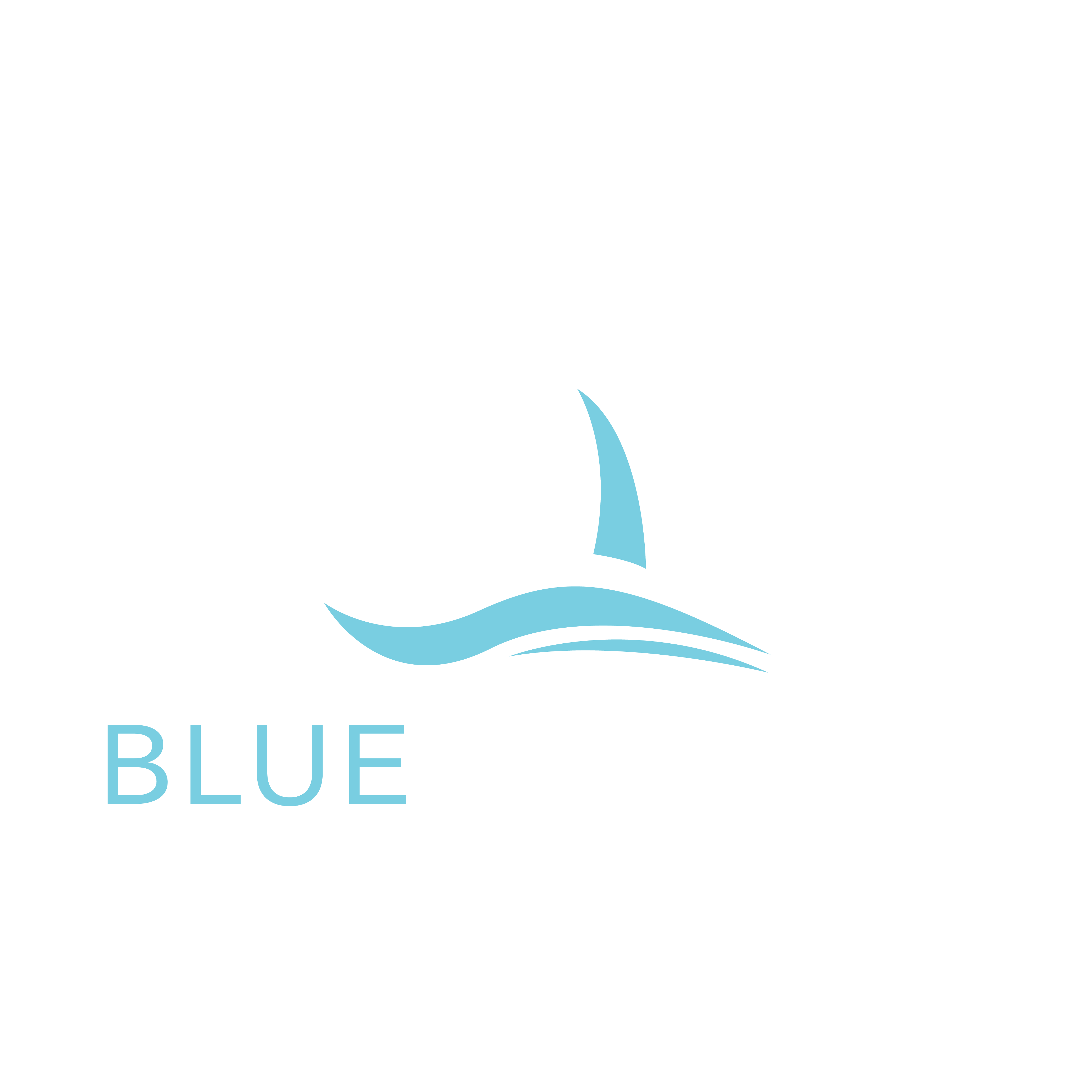 Tracking - Blue Oceanic Shipyard